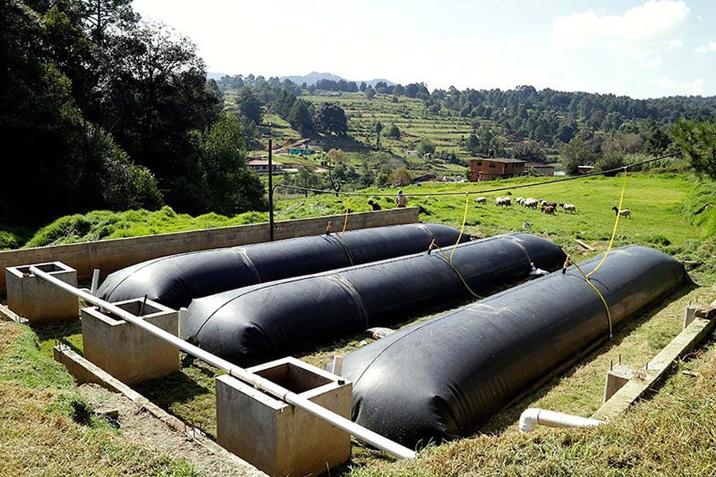 Producción de Biogas con Biodigestores | Curso Online| Greentech