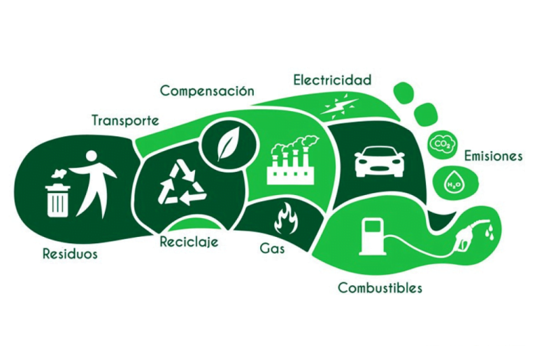 Reducir tu Huella de Carbono Diaria: 10 Consejos Prácticos